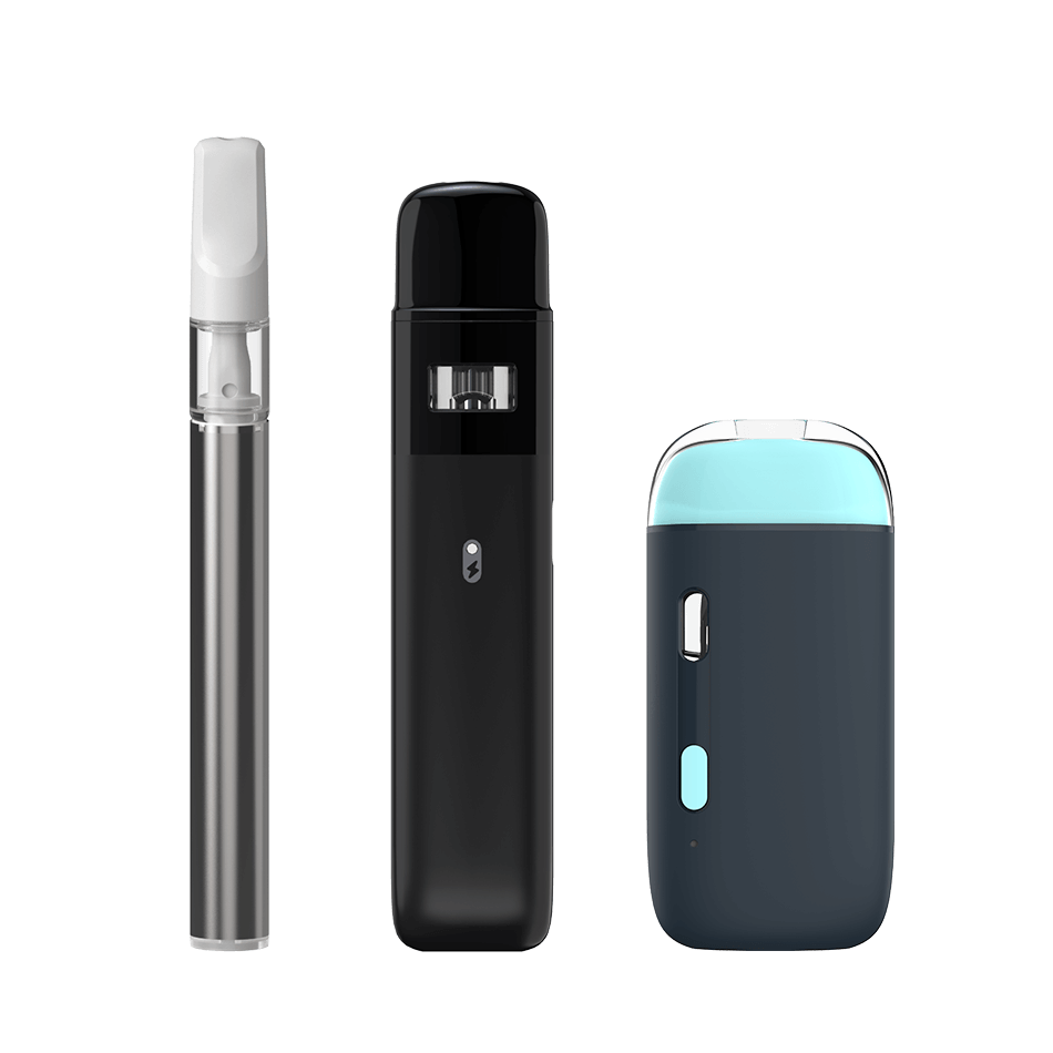 News - CCELL Official Website
